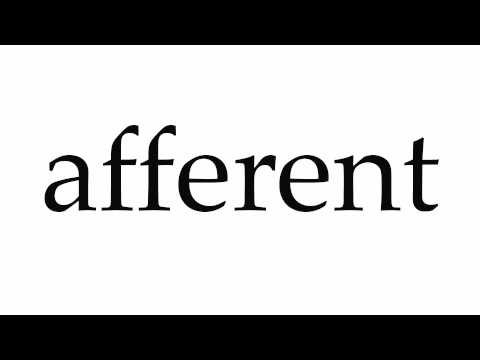 How to Pronounce afferent