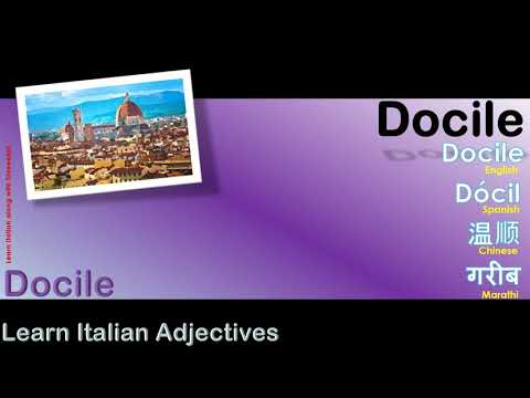 Docile - How to Pronounce Docile in Italian with English meaning as Docile?