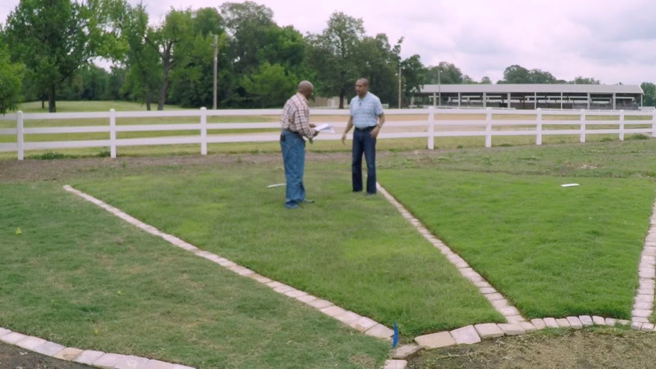 The Family Plot – June 4, 2016