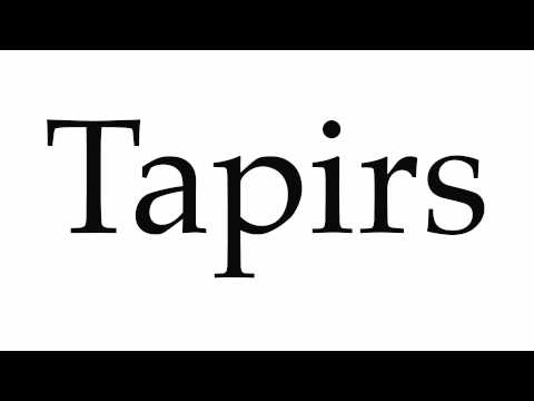 How to Pronounce Tapirs