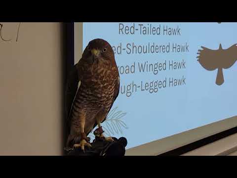 Raptors of the Pinelands at the 36 annual Pinelands Short Course