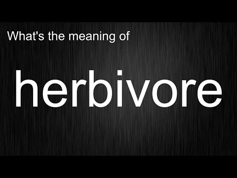 What Does "herbivore" Mean? Learn the Standard Pronunciation!