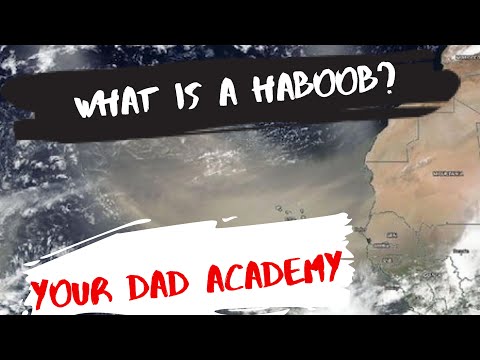 What is a Haboob?