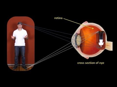 Convex Lenses and the Eye