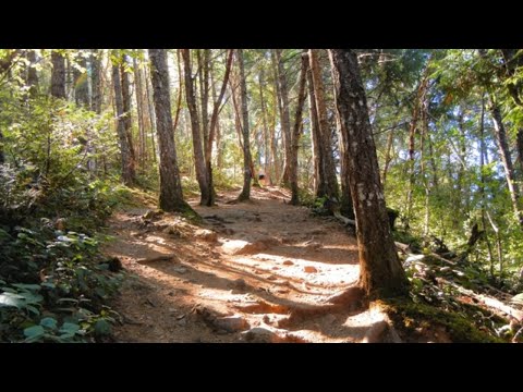 McKenzie Bight and Mount Work - Hiking