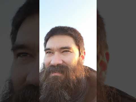 Insight into the whales and dolphin dream