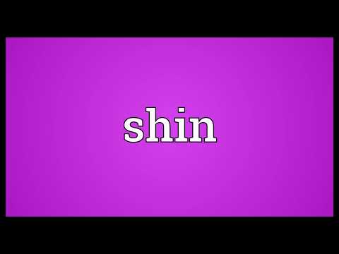 Shin Meaning