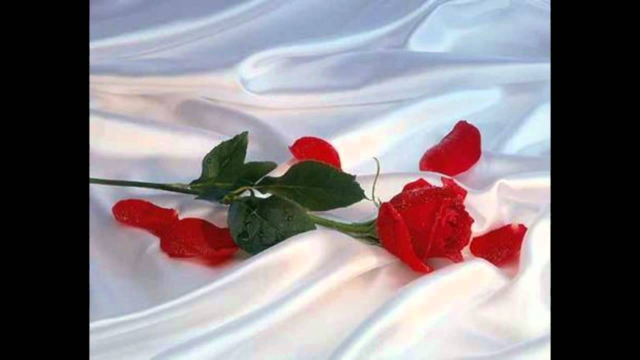 POEMA LINDO PARA MAMA HD 2016