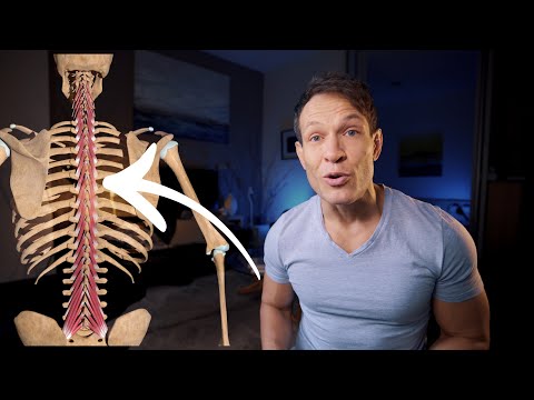 A Simple Way to Understand Massage | Couples Massage Tutorial