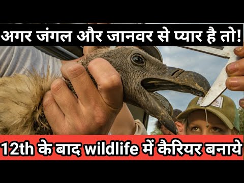 12th के बाद wildlife में अपना कैरियर कैसे बनाये? / where to study? Job and salary details.