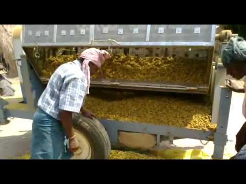 Haldi Polish Machine - Turmeric Polisher Latest Price, Manufacturers ...