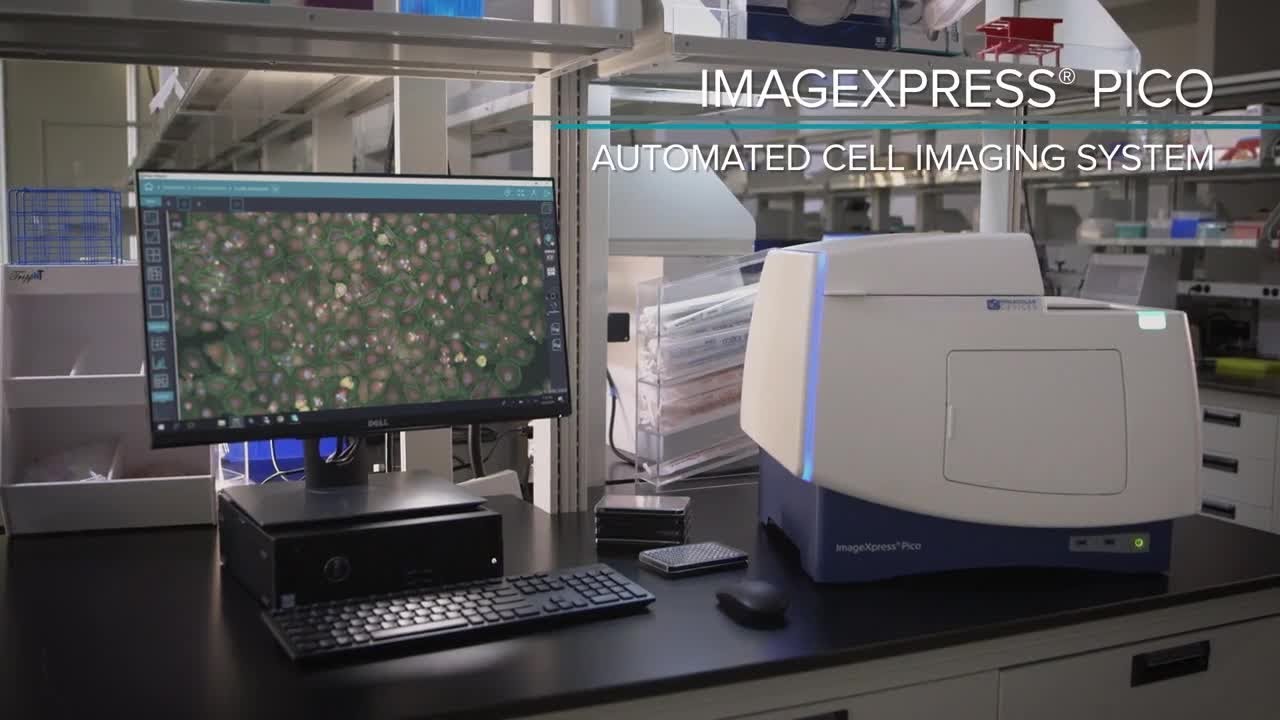 Molecular Devices ImageXpress Pico Automated Cell Imaging System