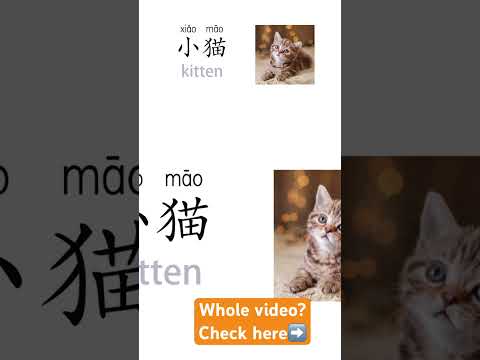 How to say “kitten and puppy”in Chinese? #learnmandarin #learnchinese #mandarin