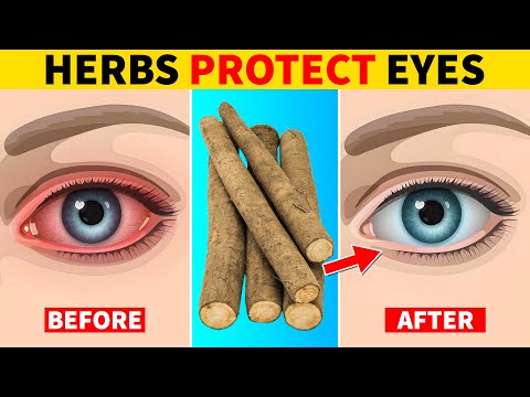 Top 6 Herbs That Protect Eyes and Repair Vision