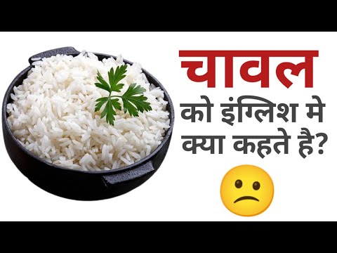 चावल को इंग्लिश में क्या कहते हैं ? chawal ko English mein kya kahate hain | Abhimanyu Study Centre