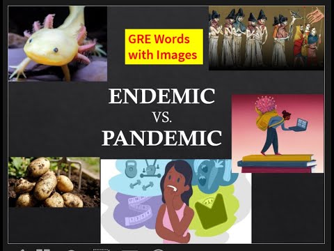 ENDEMIC Meaning| PANDEMIC Meaning | confusing GRE words with images | #gre vocabulary