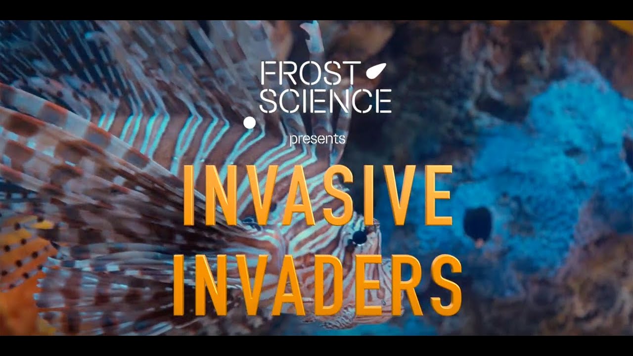 Science Spotlight: Invasive Invaders