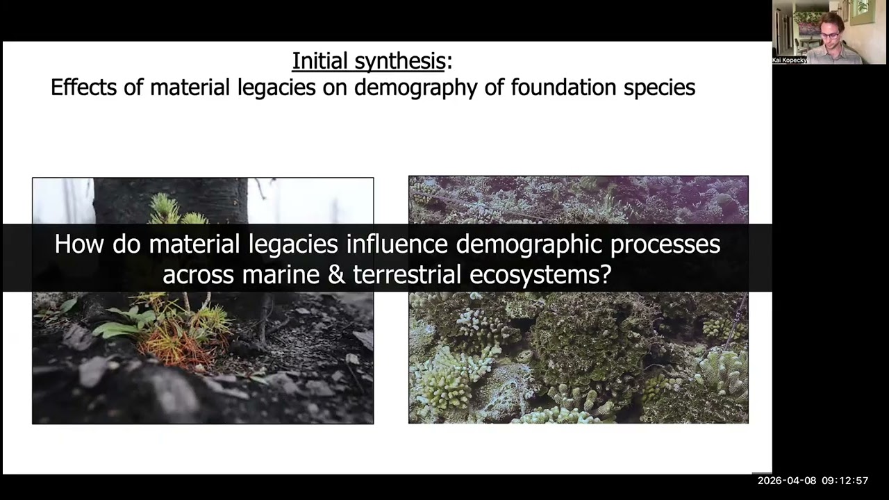 2025-2026 Synthesis Groups, Part B