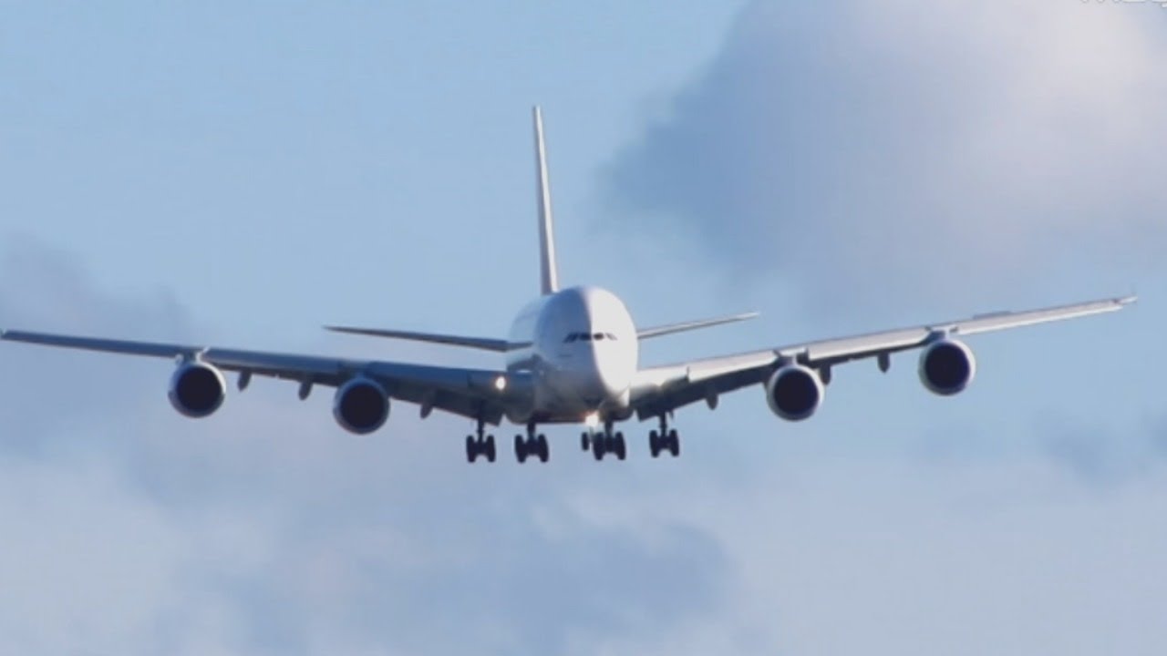 60+ Live Webcams for Virtual Office Backgrounds ...