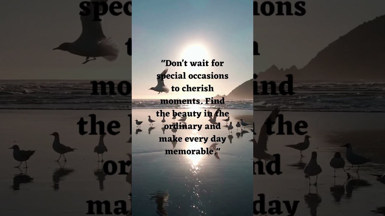 Cherish Every Moment Quotes