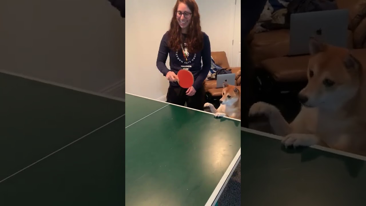 He saw his moment and he took it beautifully. (Ellen's Favorite Web Videos) #shorts