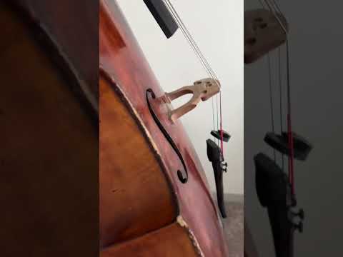 How String Instruments Work In 60 Seconds