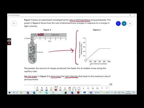 Photosynthesis - AQA GCSE Combined Science Foundation