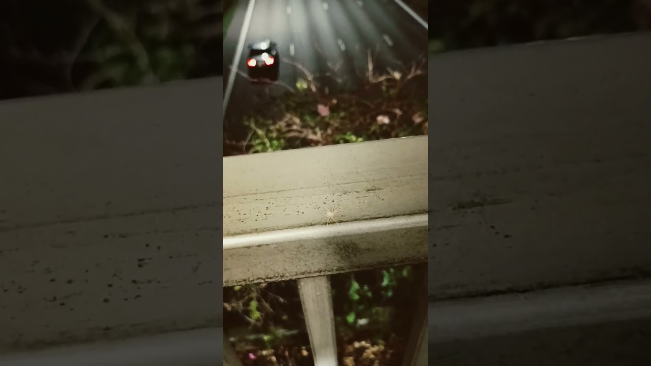 Spider, spider, where are you? 🕵️🕵️🕵️ https://github.com/singkuangtan/fixedpointdesc