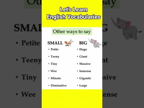 English Vocabularies | Synonym and Antonym