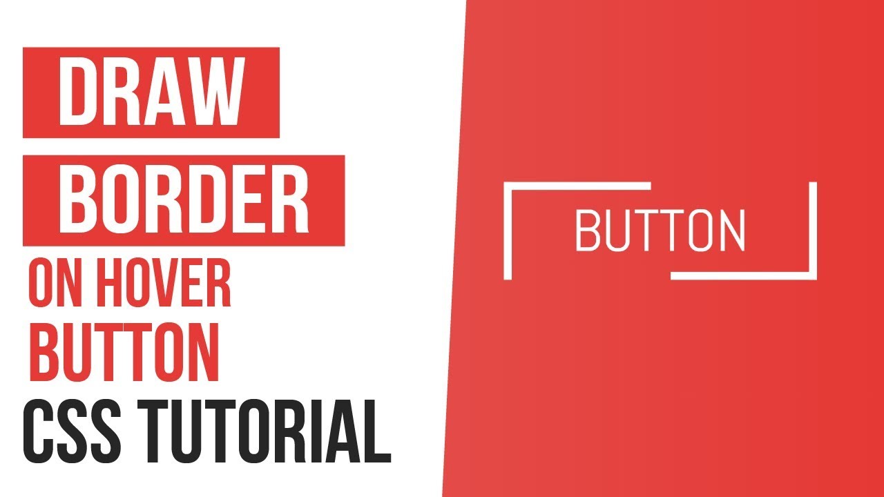 Draw Border On Hover Buttons CSS | CSS Border Animation | CSS Tutorials