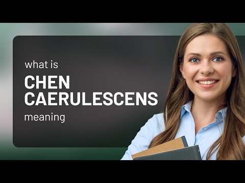 Chen caerulescens — CHEN CAERULESCENS meaning