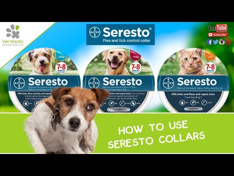 Seresto Flea and Tick Collar for Dogs, 8 Month Tick and Flea Control for Dogs