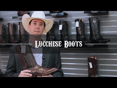 New Lucchese Boot Store