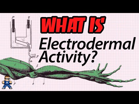What Is Electrodermal Activity?