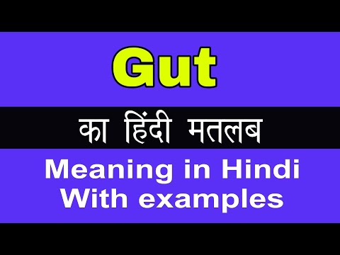 Gut Meaning in Hindi/Gut का अर्थ या मतलब क्या होता है