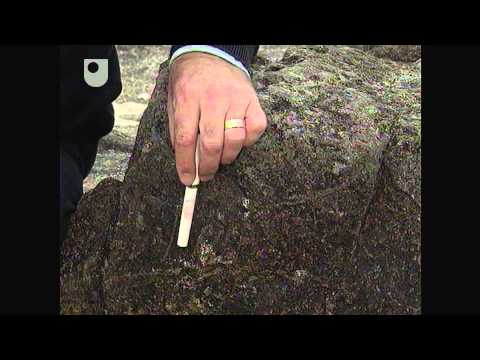 Sedimentary Rocks - Rocks in the Field (7/9)