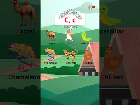 The animal with a name starting with "C"
