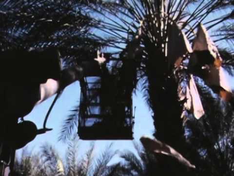 DISCOVERY 1970 - Coachella Valley Dates