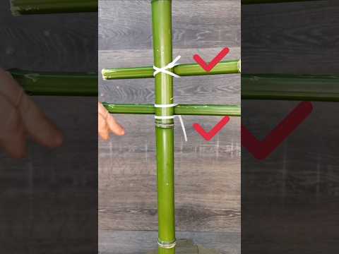 🔥 How to Securely Lash Two Sticks with a Hose Clamp – Survival & DIY Hack! 🛠️