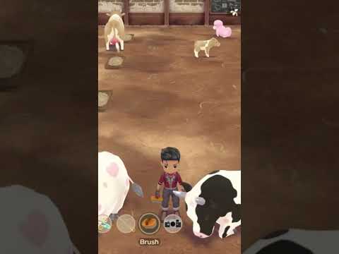 How to Wake Animals Up in Story of Seasons: A Wonderful Life
