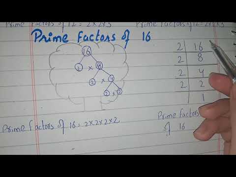 Factor Tree of 16|Prime Factorization of 16