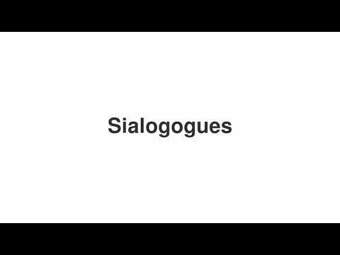 How to Pronounce "Sialogogues"