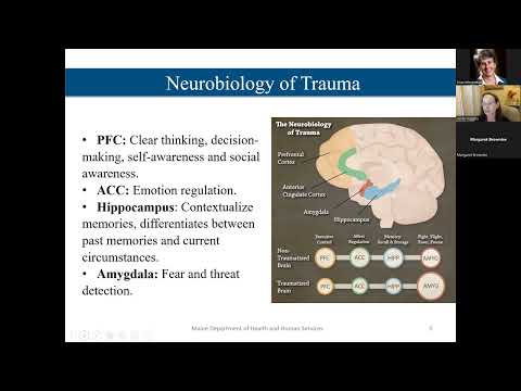 Supporting Patients’ Behavioral Health In Wake of Lewiston Event, Health Care Webinar #3, 11/15/2023