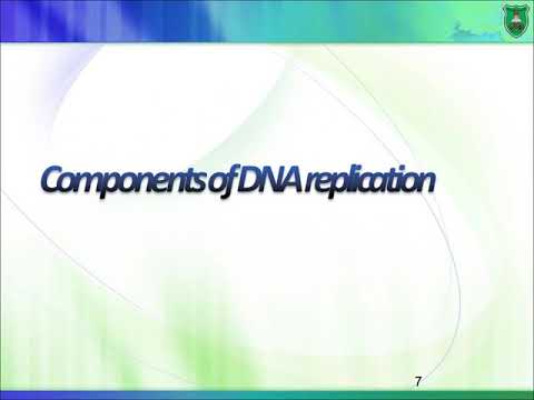 BioM03 Molecular Biology 2020 2021 DNA replication