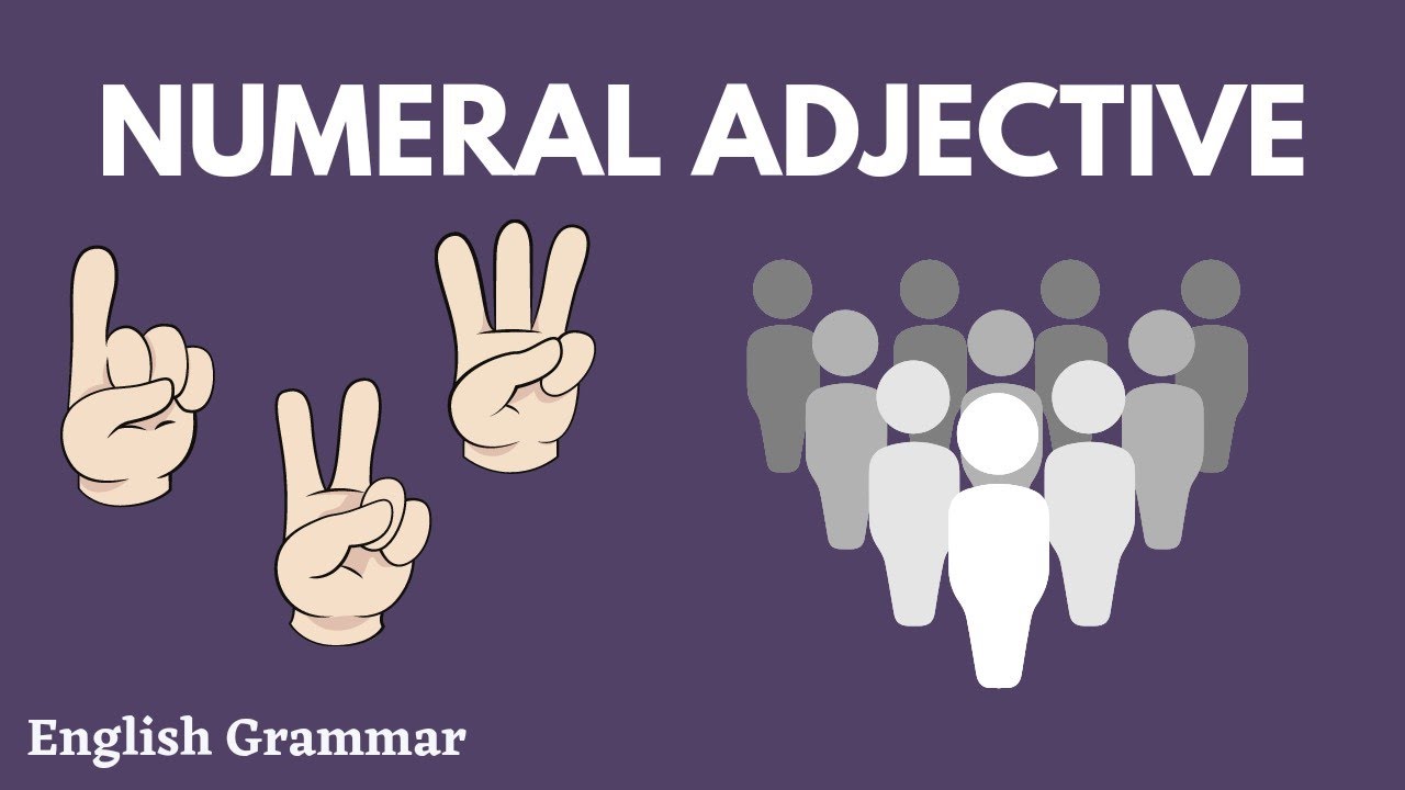 Numeral Adjective | Adjectives of numbers | Types of Numeral adjectives