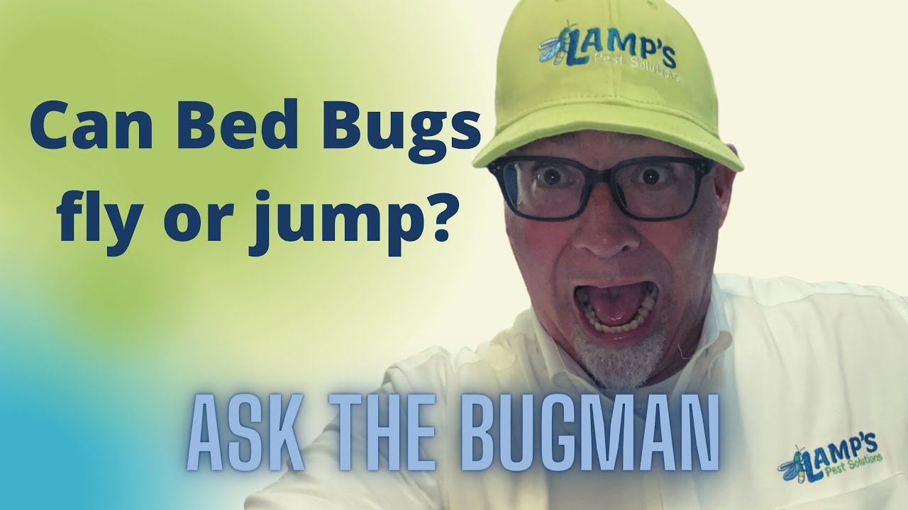 Can Bed bugs fly or jump? / Pest Control Lexington SC