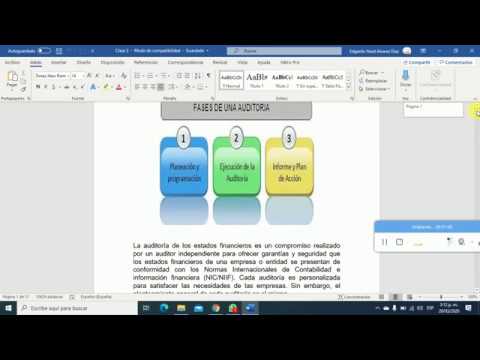 Análisis del Riesgo y la Materialidad (NIA 200)