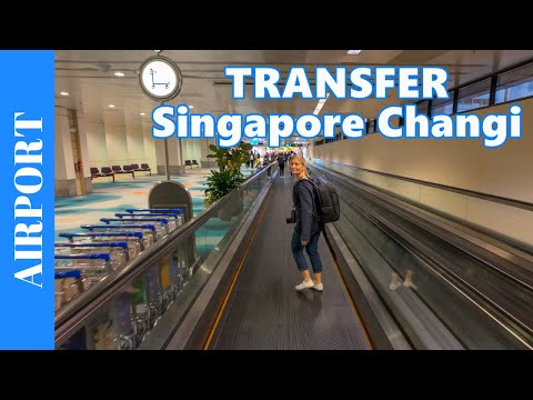 TRANSFER AT SINGAPORE CHANGI Airport 🇸🇬 How to Walk to a Connection Flight