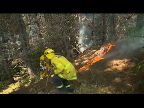 Neuseeland: 3000 Menschen fliehen vor Waldbrand