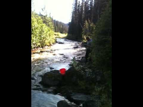 Antler Creek, B.C. Ghost Town, Near Barkerville B.C.